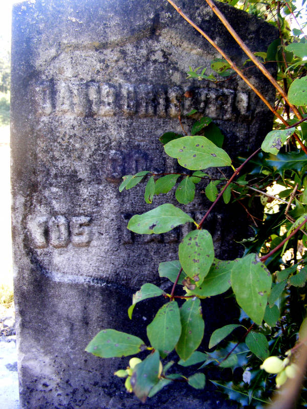David Criswell - Civil War Veterans Buried In Washington State